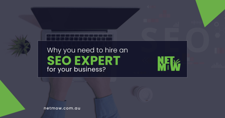 Why You Need To Hire SEO Experts For Your Business | Netmow